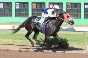 Stranger Danger impressive in fourth victory - Jamaica Observer
