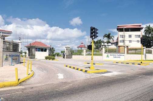 NCU launches nutraceutical product Zon Teasan - Jamaica Observer