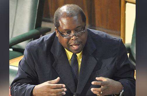Lambert Brown saves the day in Senate - Jamaica Observer
