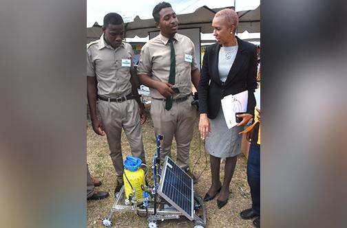 Vere Tech are champions, again - Jamaica Observer