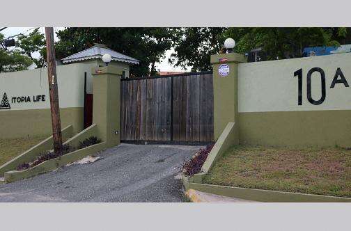 Itopia opens as Kingston's second ganja dispensary - Jamaica Observer