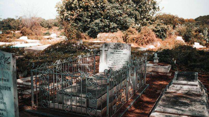 Cemeteries: A silent journey through Kingston’s past - Jamaica Observer