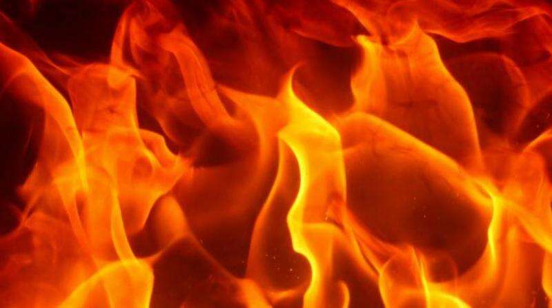 Grandmother, toddler killed in St Elizabeth fire - Jamaica Observer
