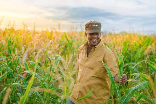 Ryan Mattis – Images Matter - Jamaica Observer