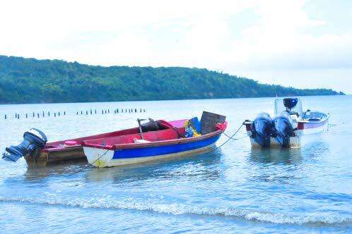 VIDEO: False alarm - Jamaica Observer