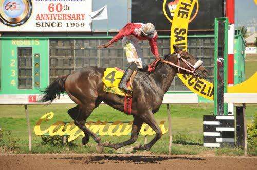 Uncle Frank at his toughest in St Cecelia - Jamaica Observer