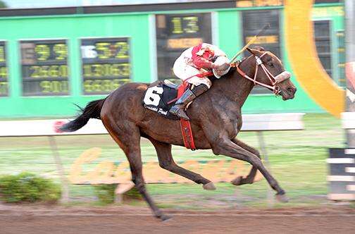 Uncle Frank upsets to take St Cecelia Cup - Jamaica Observer