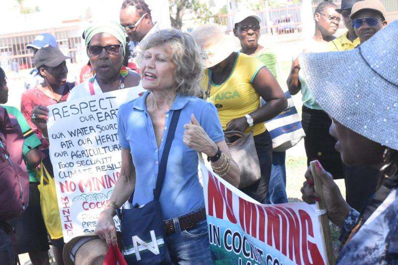 Anti-mining protest underway at Heroes Circle - Jamaica Observer