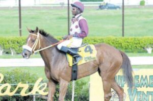 Lady Blue benefits from her consistency - Jamaica Observer
