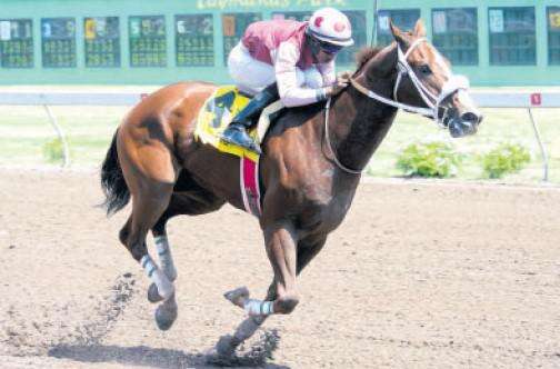 Five-straight specialist Adonis wins again - Jamaica Observer