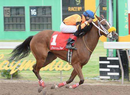 Roger Hewitt continues to make his presence felt - Jamaica Observer