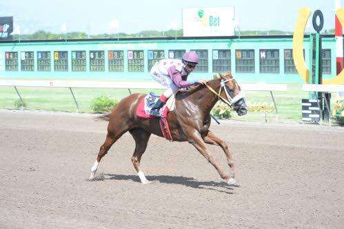 American Invader coming together after health issues - Jamaica Observer