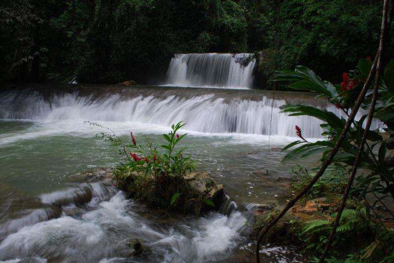 Let’s go sightseeing in St Elizabeth, Jamaica - Jamaica Observer