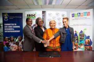 More business support for Jamaica’s creative entrepreneurs - Jamaica ...
