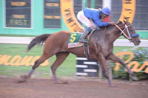 Bruce Wayne is the most valuable player of my stables – Anthony Nunes ...