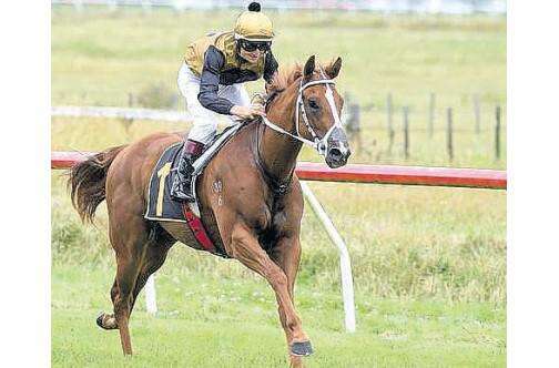 How New Zealand based jockey Malcolm Hill lost 32kg and won his first ...