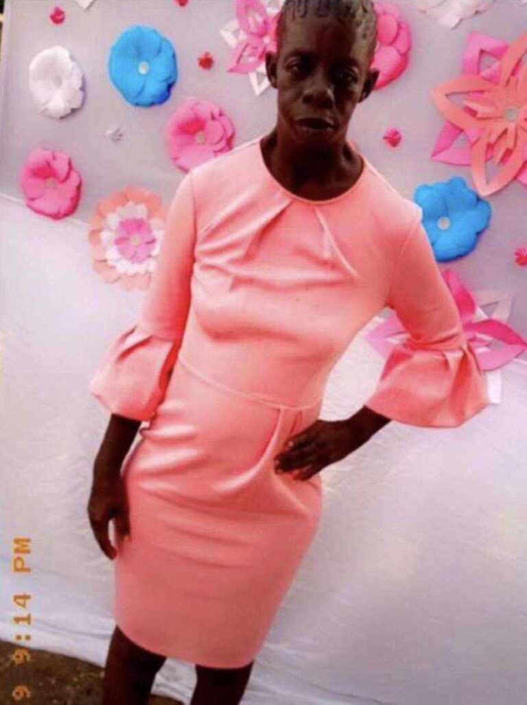 PNP wants thorough investigation in Susan Bogle’s death - Jamaica Observer