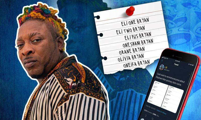 Twitter learns names of Elephant Manâ€™s children and melts down ...
