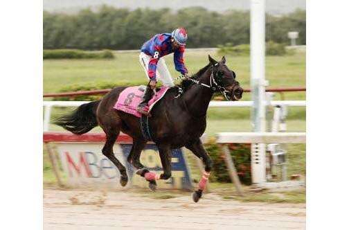 Racing returns to Trinidad and Tobago - Jamaica Observer