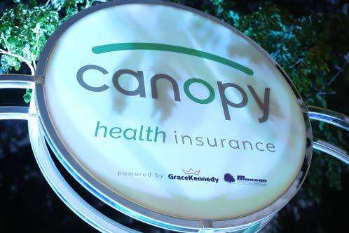 Canopy Insurance performing above expectations - Jamaica Observer