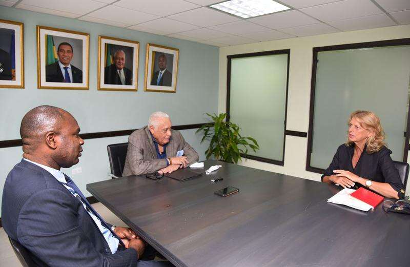 Henry calls for more women in overseas work programme - Jamaica Observer