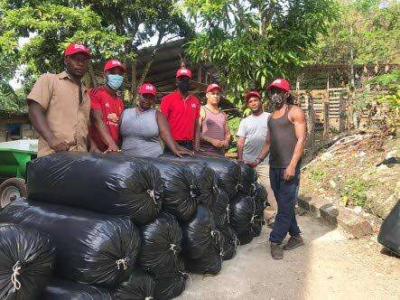 Achieving food security through fodder conservation - Jamaica Observer