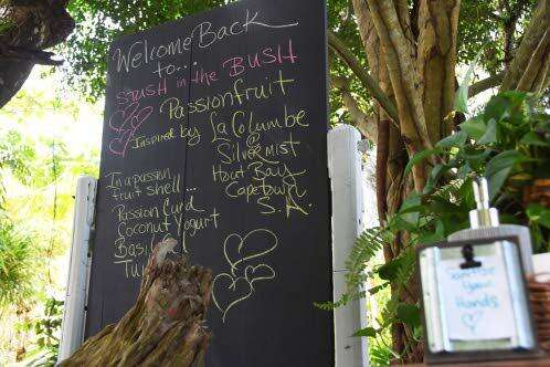 Stush in the Bush Reopens - Jamaica Observer