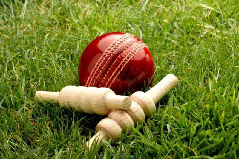 Scorpions fall to Volcanoes inside three days - Jamaica Observer
