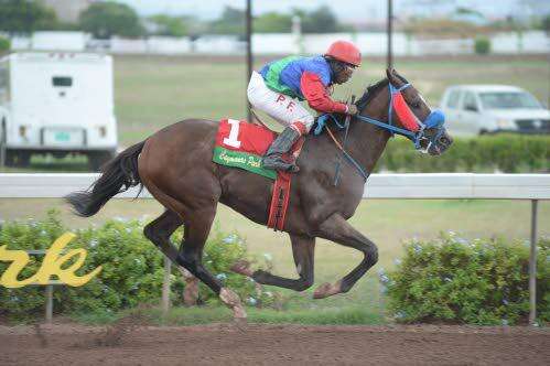 Superluminal, Atlantic Blue front runners for knotty Overnight ...