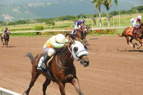 RACING NEWS FOR SUNDAY, SEPTEMBER 27, 2020 - Jamaica Observer