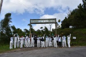 JEP plants 200 Blue Mahoe trees - Jamaica Observer