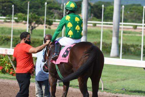 MEET GREGORY FORSYTH: From owner to trainer - Jamaica Observer