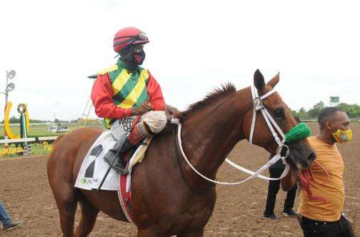 The Eileen Cliggott Memorial Trophy - Jamaica Observer