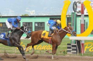 Racing News for Friday, January 1, 2021 - Jamaica Observer