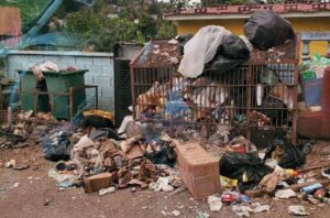 Take responsibility for the garbage! - Jamaica Observer