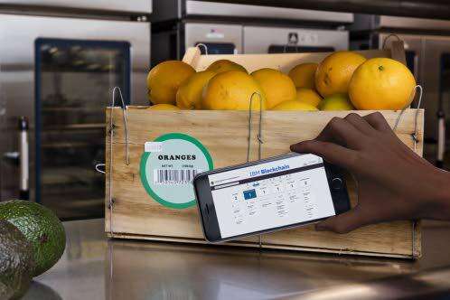 Blockchain and Food Safety - Jamaica Observer