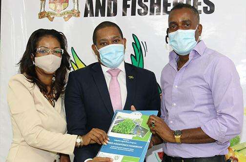 Agriculture ministry excited about aquaponics expansion - Jamaica Observer