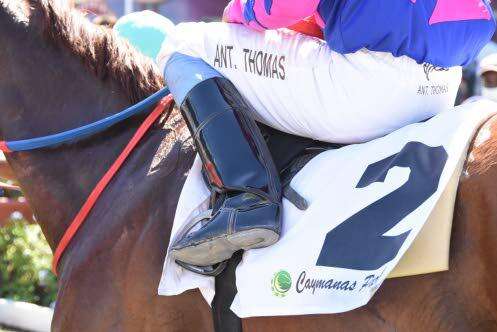 The day jockey Anthony Thomas ruled with a triple - Jamaica Observer