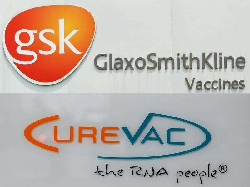 GSK, CureVac to develop vaccine against COVID variants - Jamaica Observer
