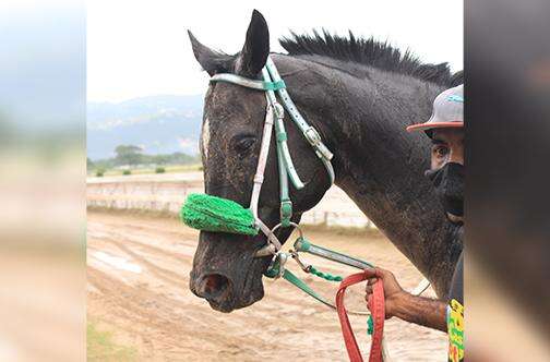 Legality to right the wrongs in Overnight Allowance feature - Jamaica ...