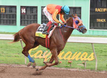 Billy Whizz, Calculus to decide Sir Howard Stakes - Jamaica Observer