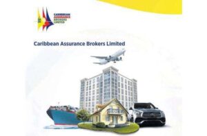 Caribbean Assurance Brokers goes digital - Jamaica Observer