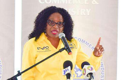 Business leaders in 'road rage' over new MoBay bypass delay - Jamaica ...