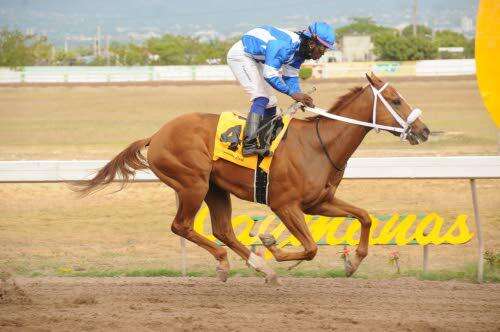 Curlin's Affair has talent but still green — trainer Anthony Nunes ...