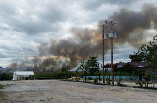 Morass fire in Negril - Jamaica Observer