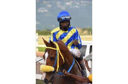 A 'Oneofakind' Overnight Allowance - Jamaica Observer