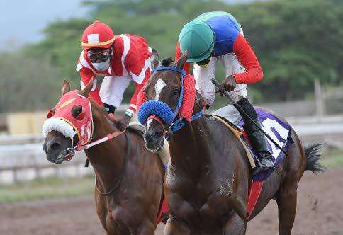It's win number 16 for Superluminal - Jamaica Observer
