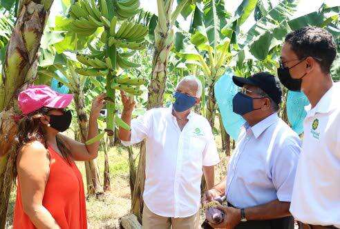 JP Farm tour - Jamaica Observer