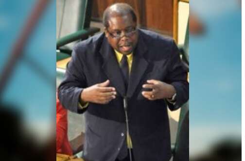Lambert Brown to become Opposition advocate for persons with ...