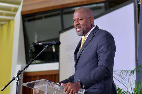 Partnerships with the diaspora are critical for growth — PIOJ director ...